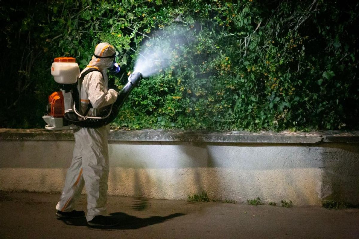 Chikungunya : un premier cas autochtone à Orléans, une opération de ...