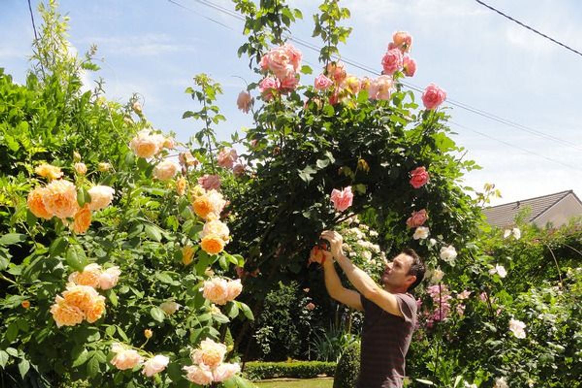 DYE. Le jardin d’Adrienne ouvre ses portes - L'Yonne Républicaine