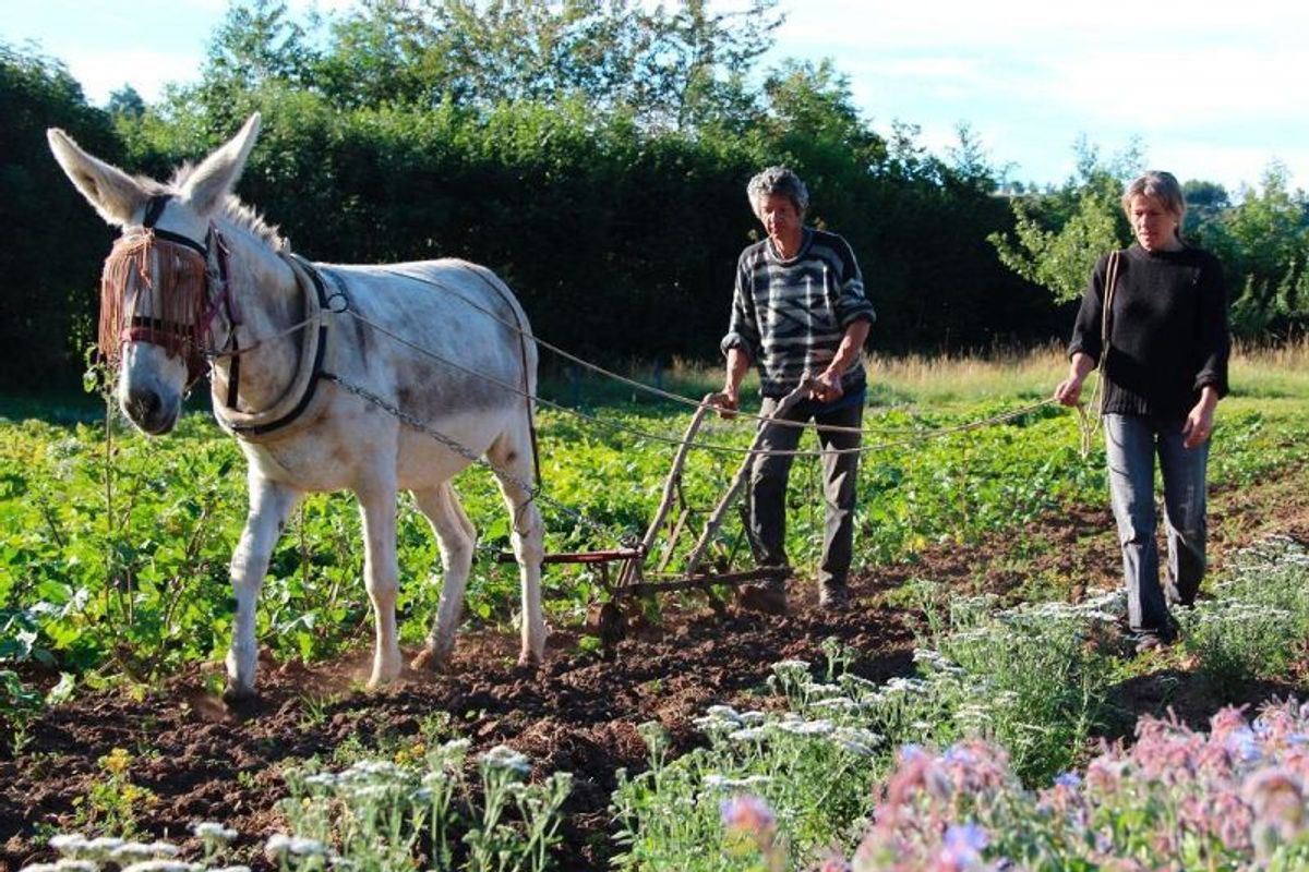 À Saint-Front, Marc Joubert et Anne Lecomte travaillent la terre grâce ...