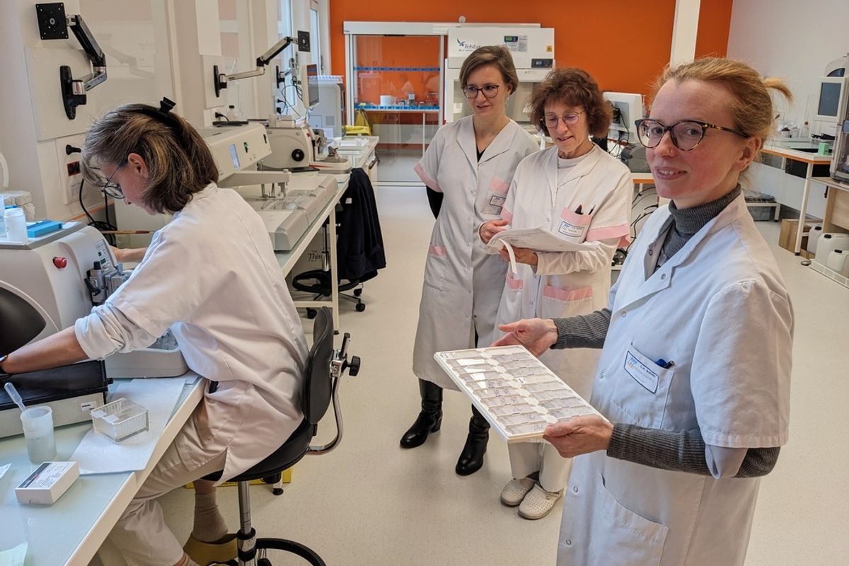 Plus de 900.000 euros investis pour rénover le laboratoire d’anatomo ...