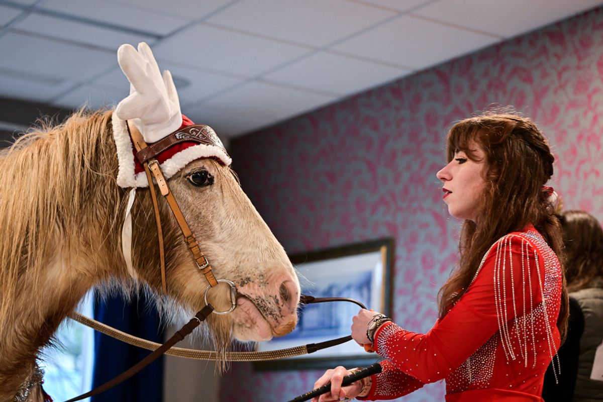 Messe et hommages pour Johnny, au sommet d'une éolienne, un cheval ...