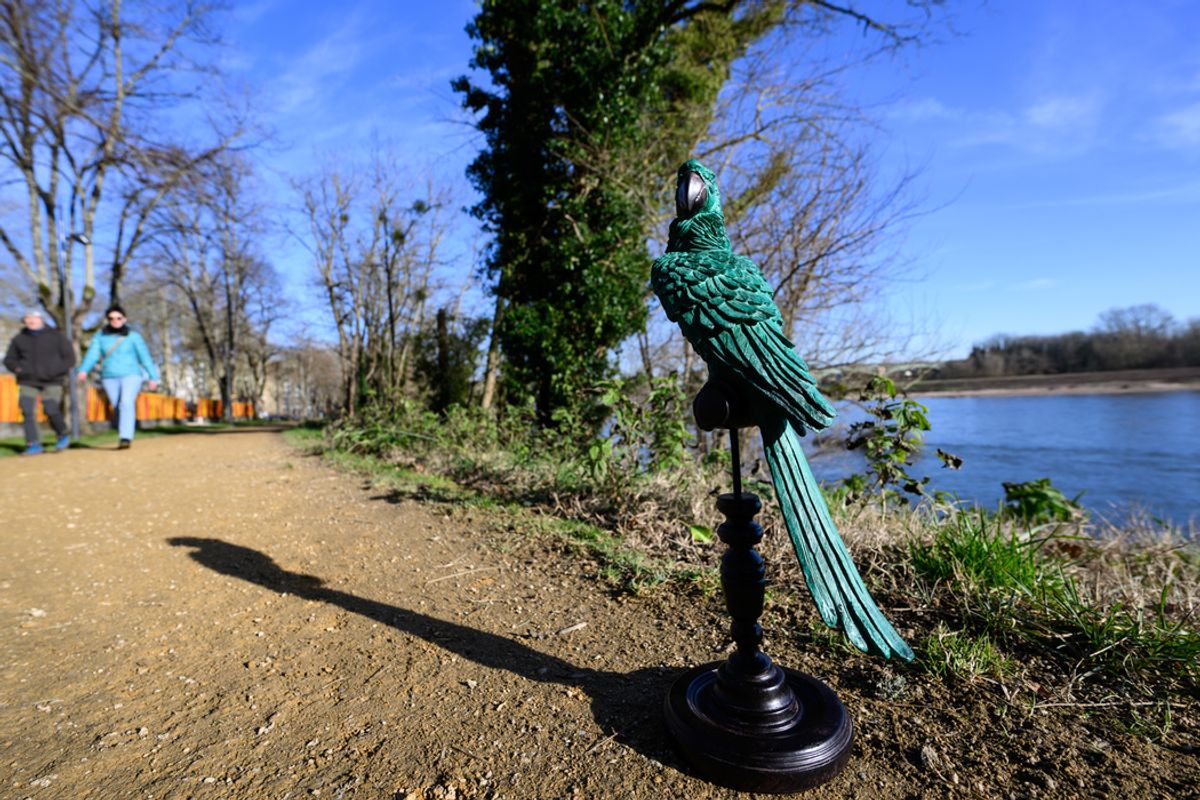 L'esprit du Ver-Vert existe-t-il encore à Nevers ? - Le Journal du Centre