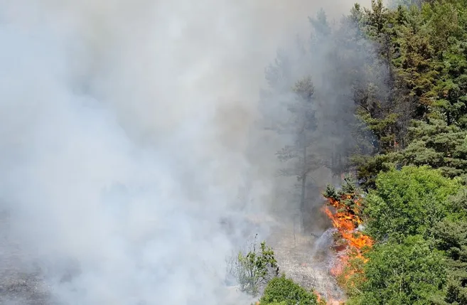 Feux de forêt : le sud de la France en alerte maximale - La Montagne