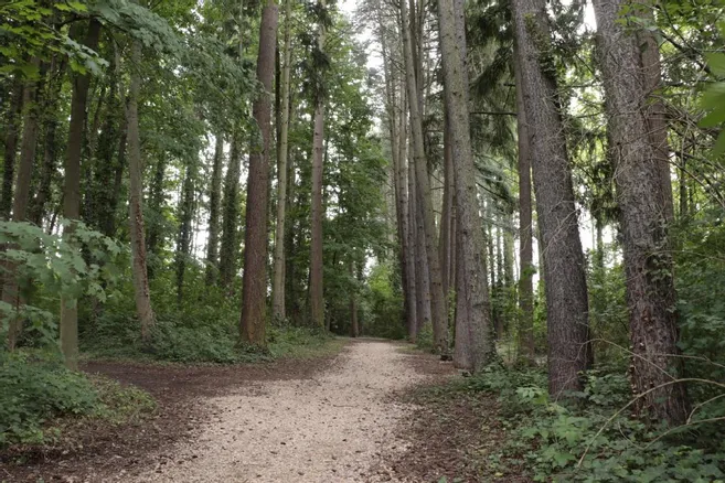 (Re)découvrir six lieux touristiques de Haute-Loire avec "Echo street & land art en Velay" - L ...