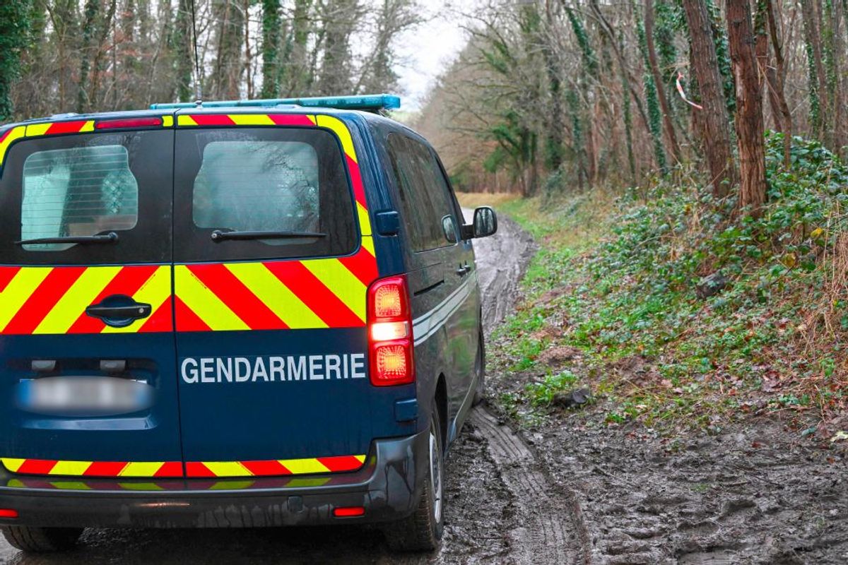 Après une chute en forêt, une septuagénaire blessée et désorientée ...