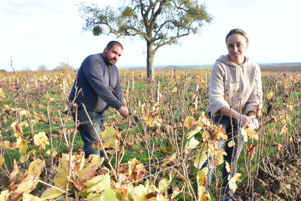 La viticultrice de Saint-Père, Julie Nérot, ne pourrait pas exceller sans son ouvrier Romain ...