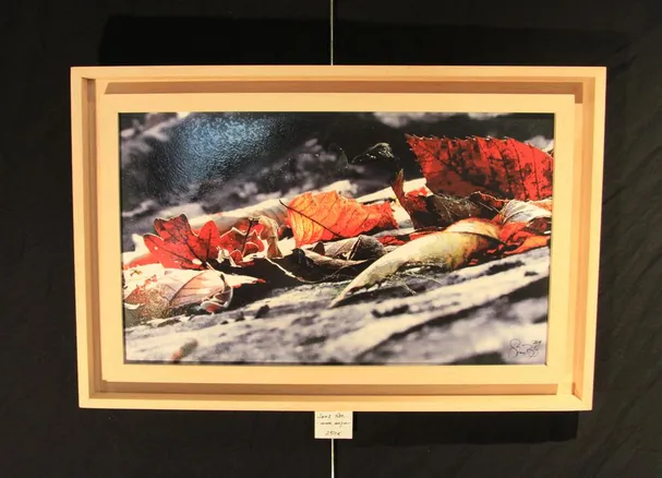 DONZENAC. L’artiste photographe Sizou Bé expose - La Montagne