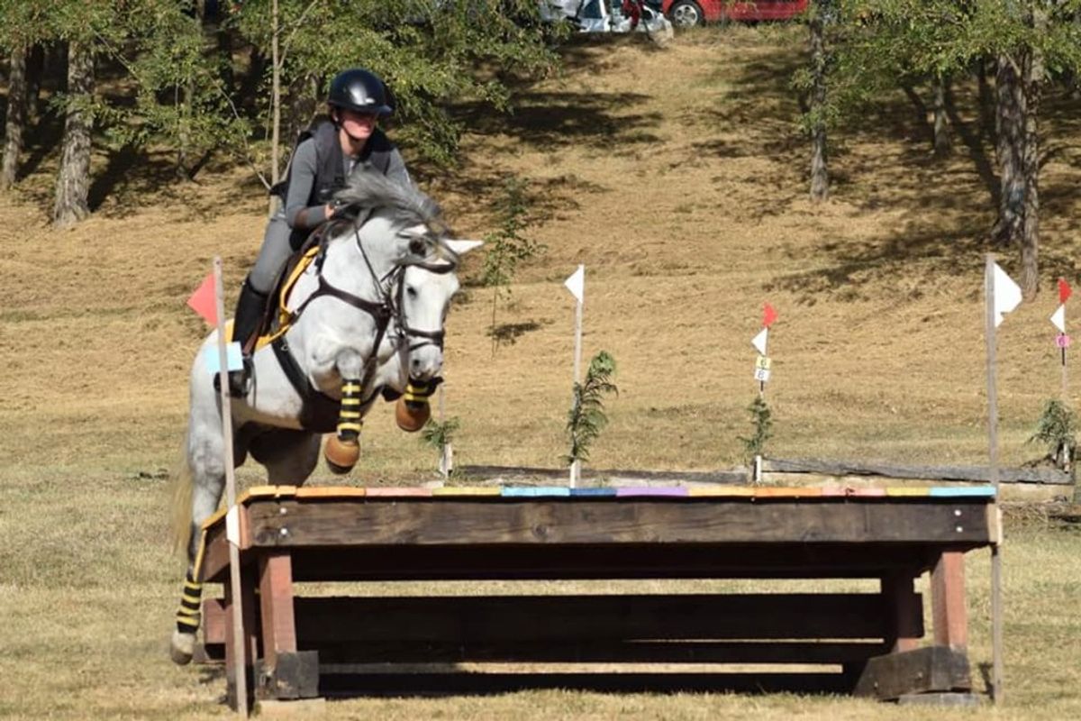 TREC à Agnat : un gros programme attend les fans de sport hippique - La ...