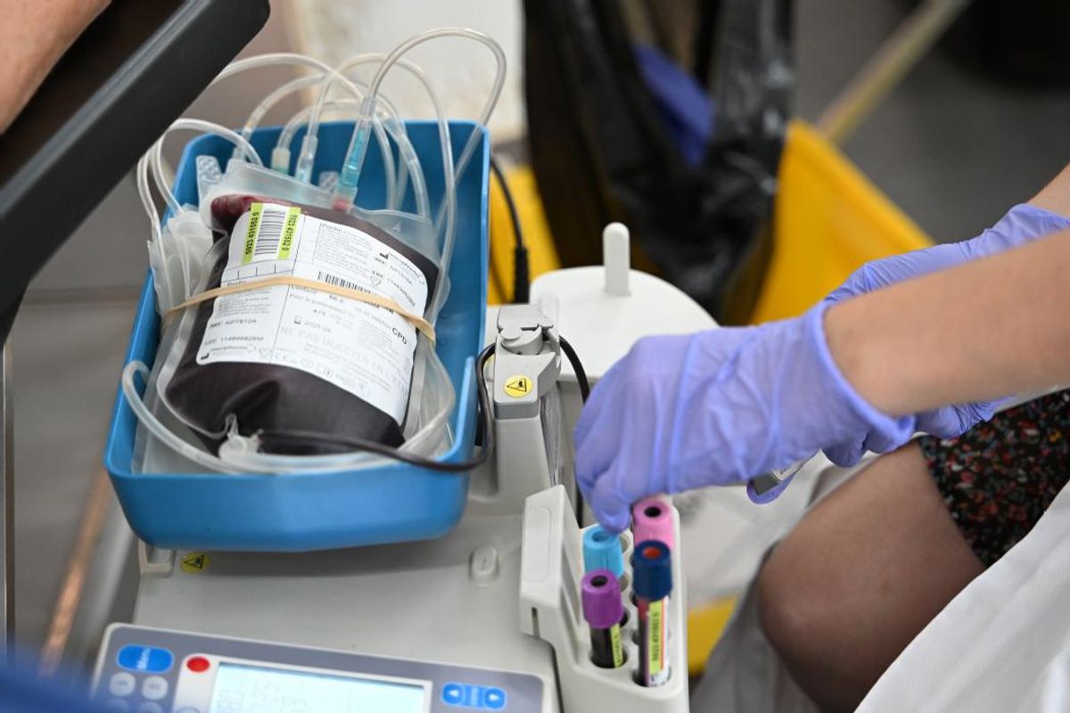 Où, quand, pourquoi... Trois choses à savoir sur le don du sang dans le ...