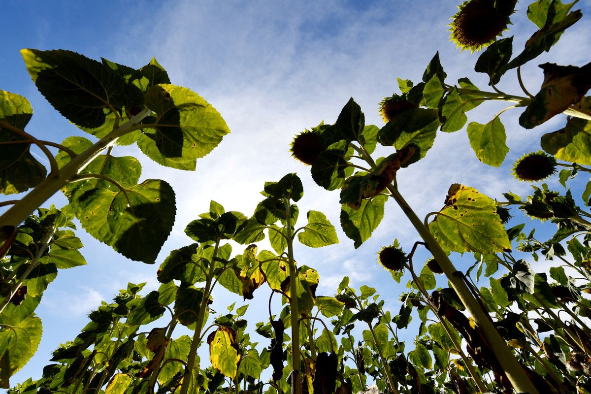 Quel temps fera-t-il ce week-end dans le Cher ? - Le Berry Républicain