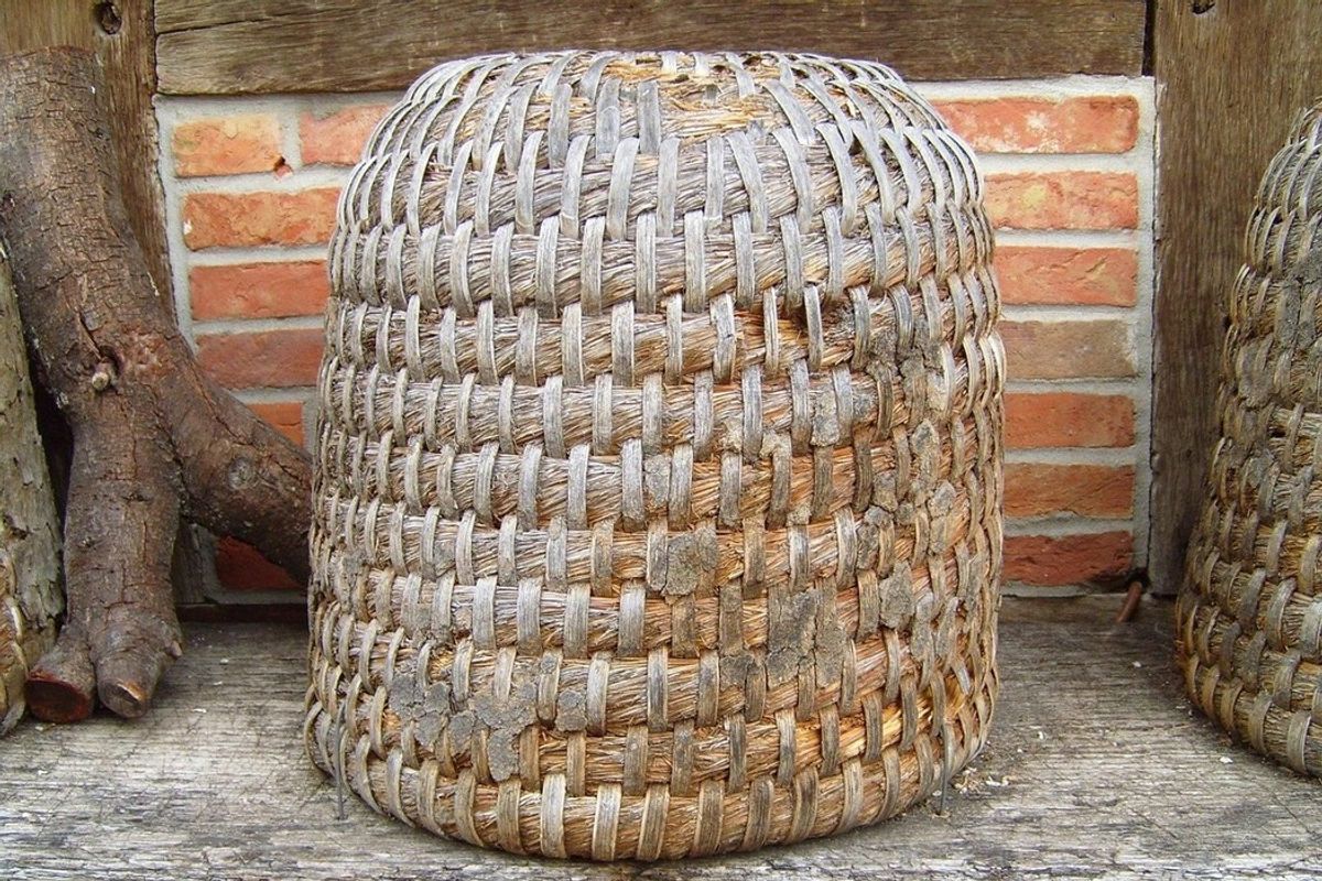 Une vannerie d’osier pour les abeilles - La Montagne