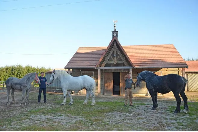 La jument suitée de Pascal Martinet a remporté le championnat de France ...