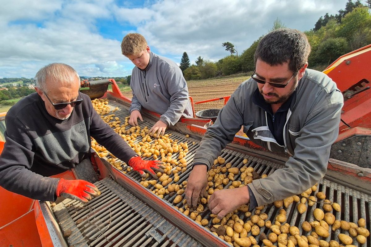 "Les sécheresses arrivent de plus en plus tôt" : les producteurs de ...