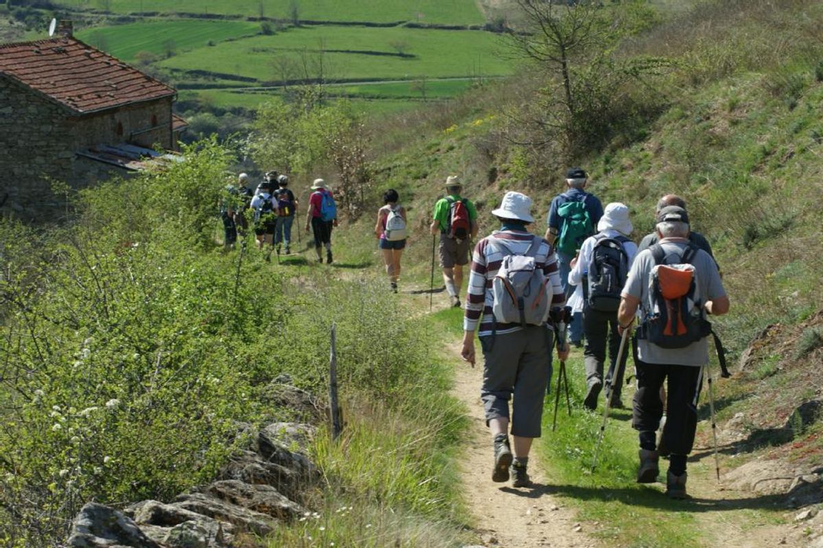Où marcher dans le Cher ? Le programme des randonnées pour le week-end ...