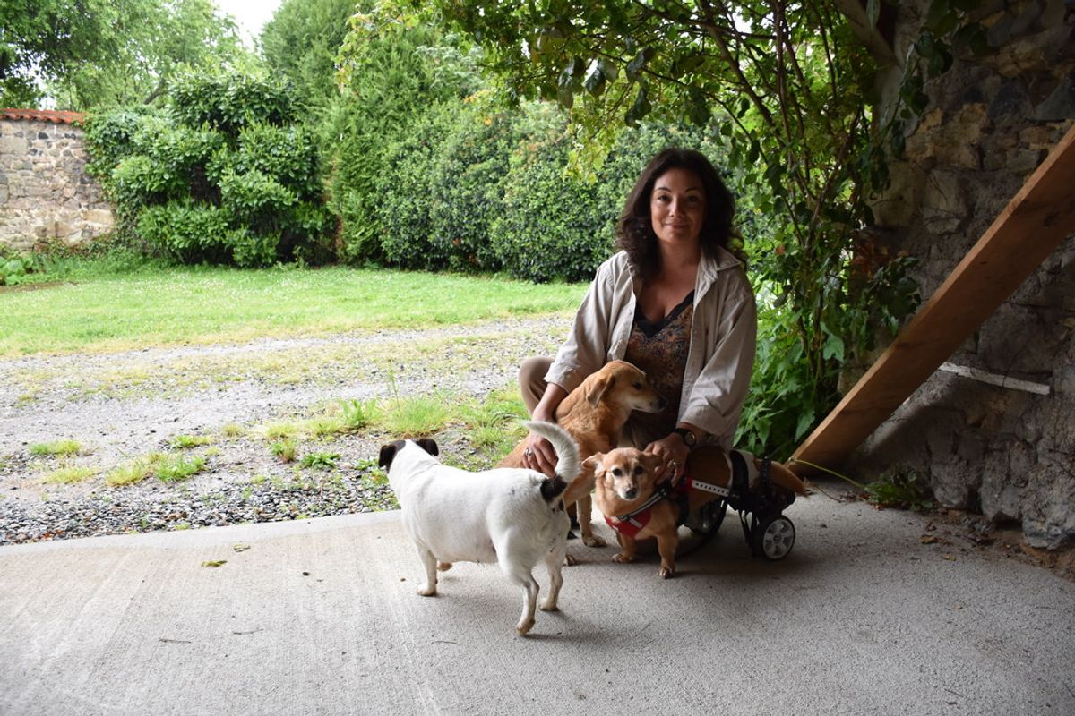 Quatre pattes et un grand cœur : une association créée à Issoire pour ...