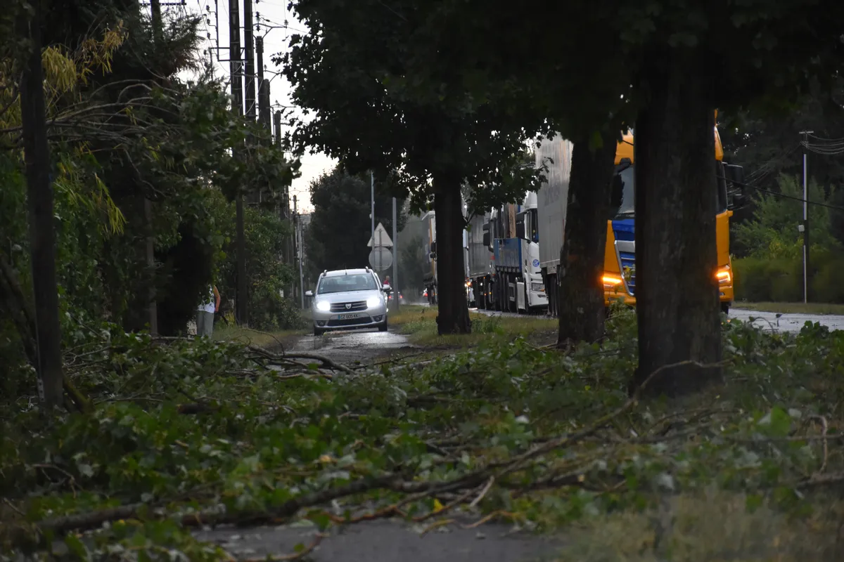 Le top 10 des articles qui vous ont le plus intéressés en 2025 sur le ...