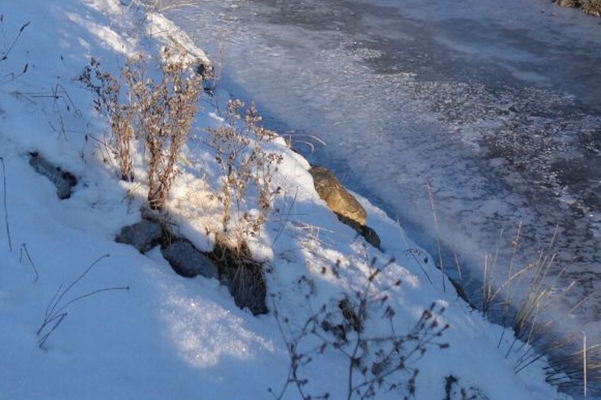 Grand froid sur le Ciboulet - Le Pays Roannais